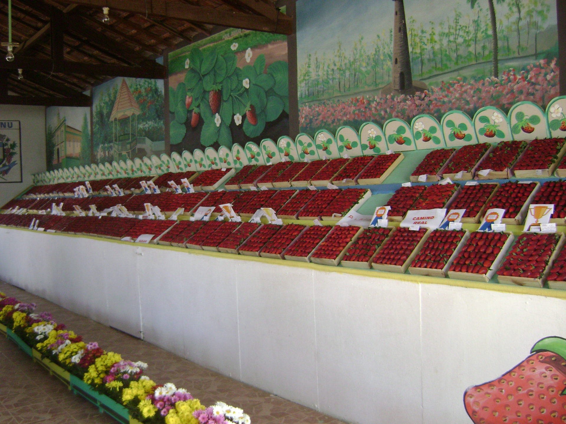 Parque do Morango Duílio Maziero – Circuito das Frutas