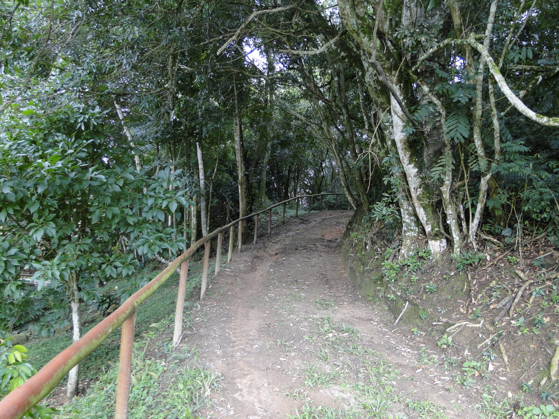 Vinícola Santa Bruna – Circuito das Frutas